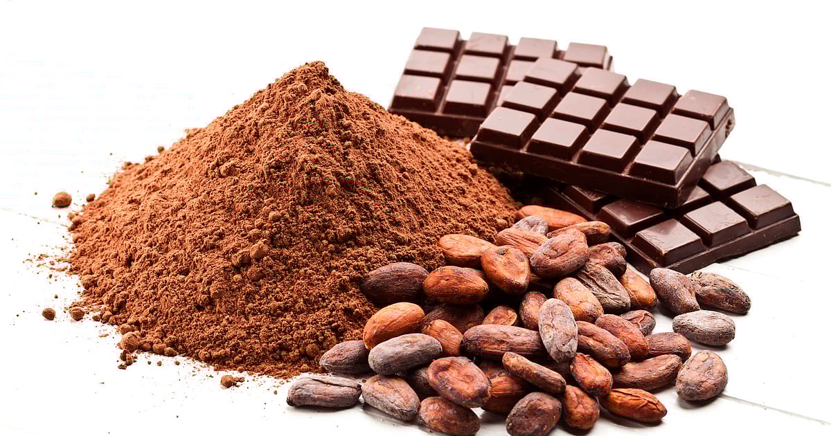 Fact Check: Is Chocolate Really Going ‘Extinct’ by 2050?