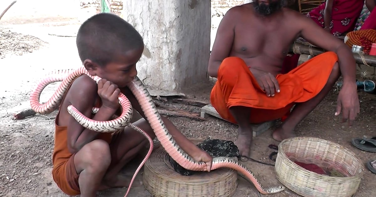 Playing With Snakes in This Village Is Child’s Play