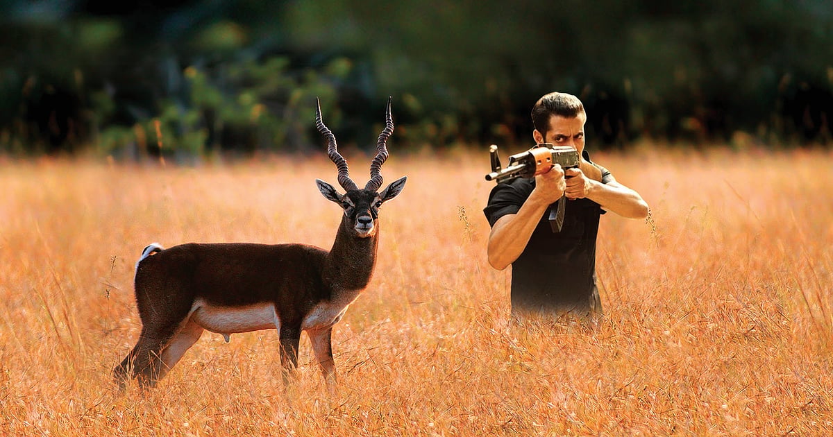 Salman Khan Verdict: Salman Khan Found Guilty in Blackbuck Poaching ...