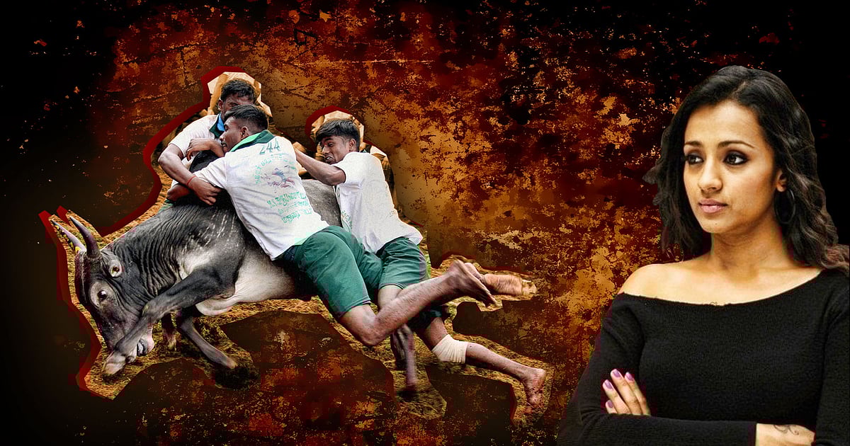 Actor Trisha Hits Out at Jallikattu Supporters Over Sexist Trolls
