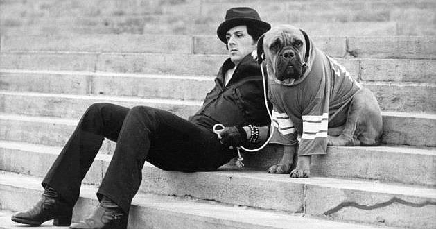 Sylvester Stallone Says It Was His Dog Butkus’ Idea to Write Rocky