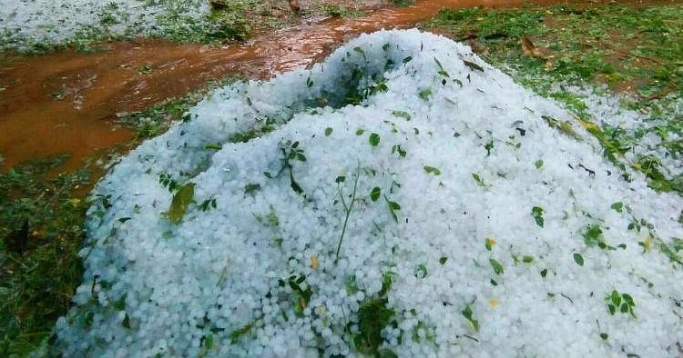 Hailstorm in Wayanad Stuns Drought-Hit Kerala