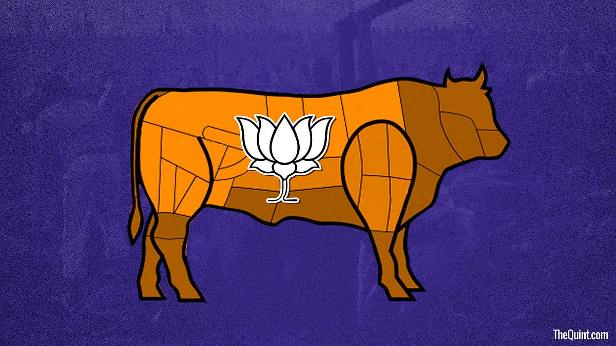 BJP’s Cow Politics: Why the Northeast Is a Different Animal