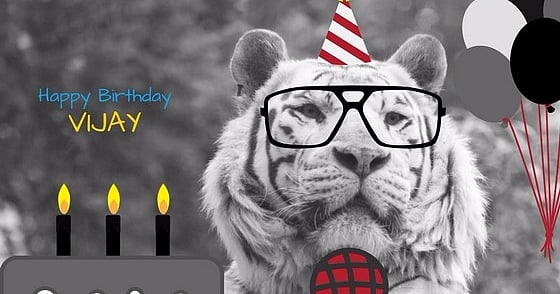 White Tiger Vijay, Who Mauled a Man to Death in 2014, Turns 10!