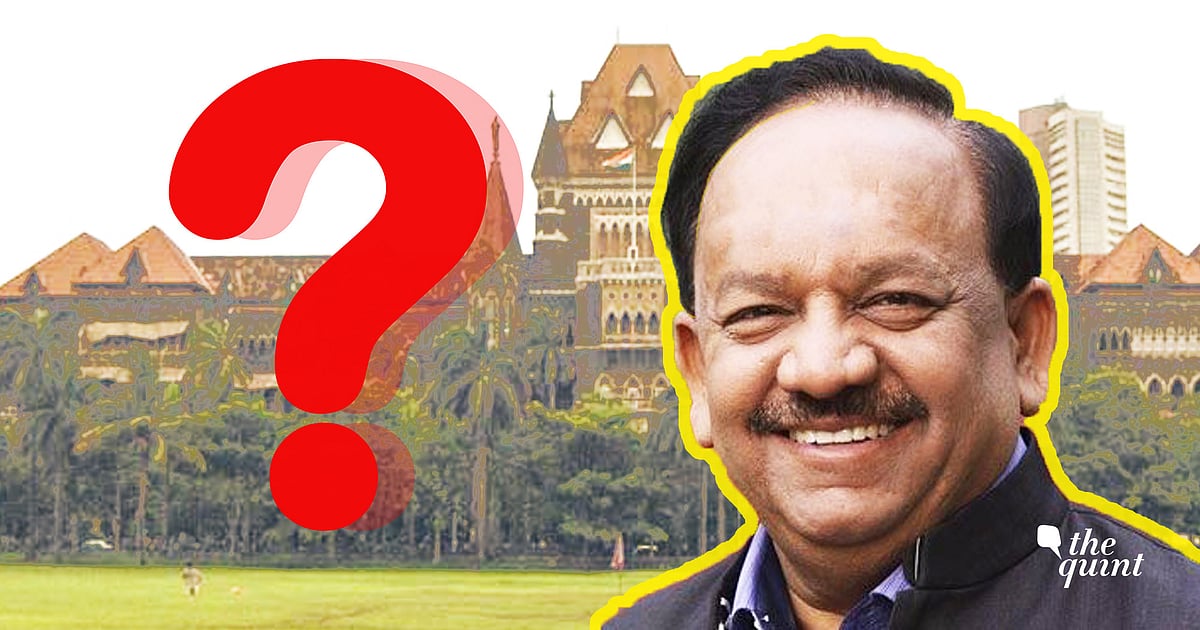 Goa Mining Scam: Bombay HC & Environment Min Have a Lot to Answer