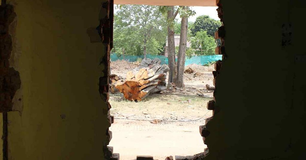 Cut Trees, Plant Saplings? Compensatory Afforestation Isn’t Easy!