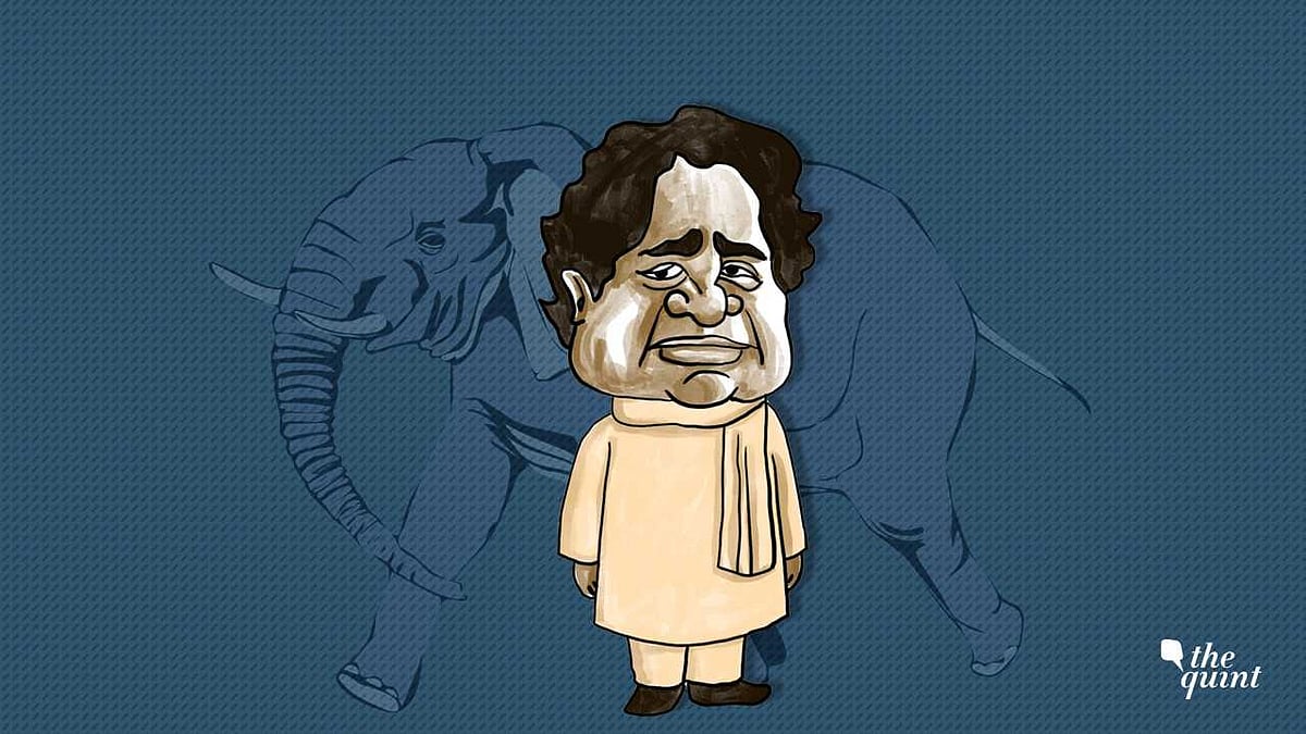 General Election 2019: Mayawati Ji, You Need Allies More Than Potential ...