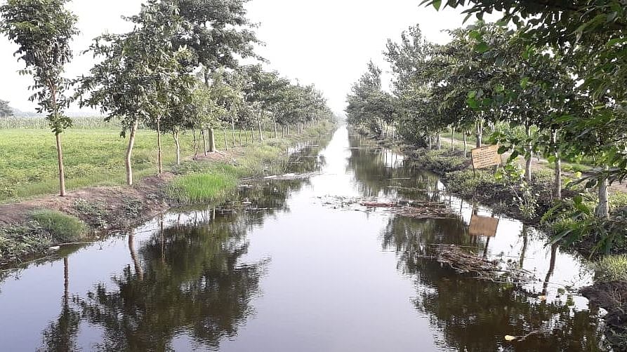 Bihar Village Transforms Wasteland Into Oasis