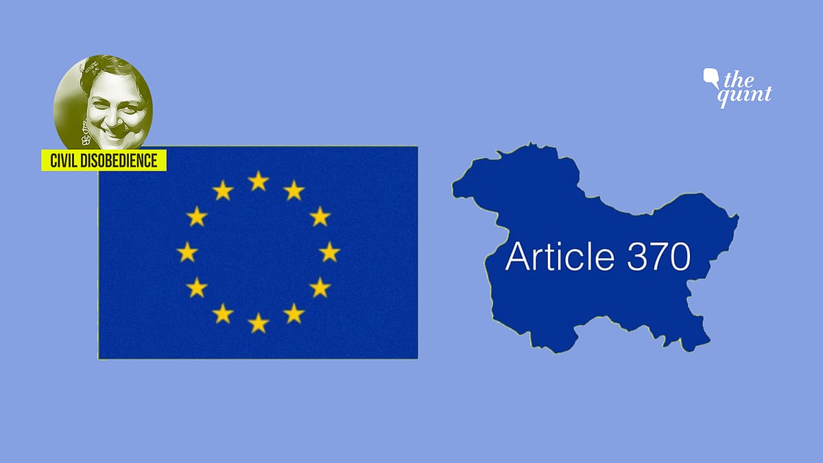 European Union MPs in Kashmir: The Real Picture They Will Not Get to ...