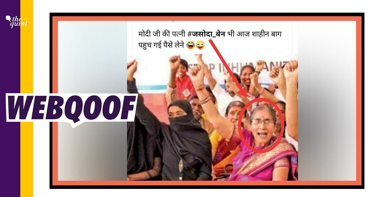 Fact Check of Jashodaben Protesting Against CAA: PM Modi’s Estranged ...