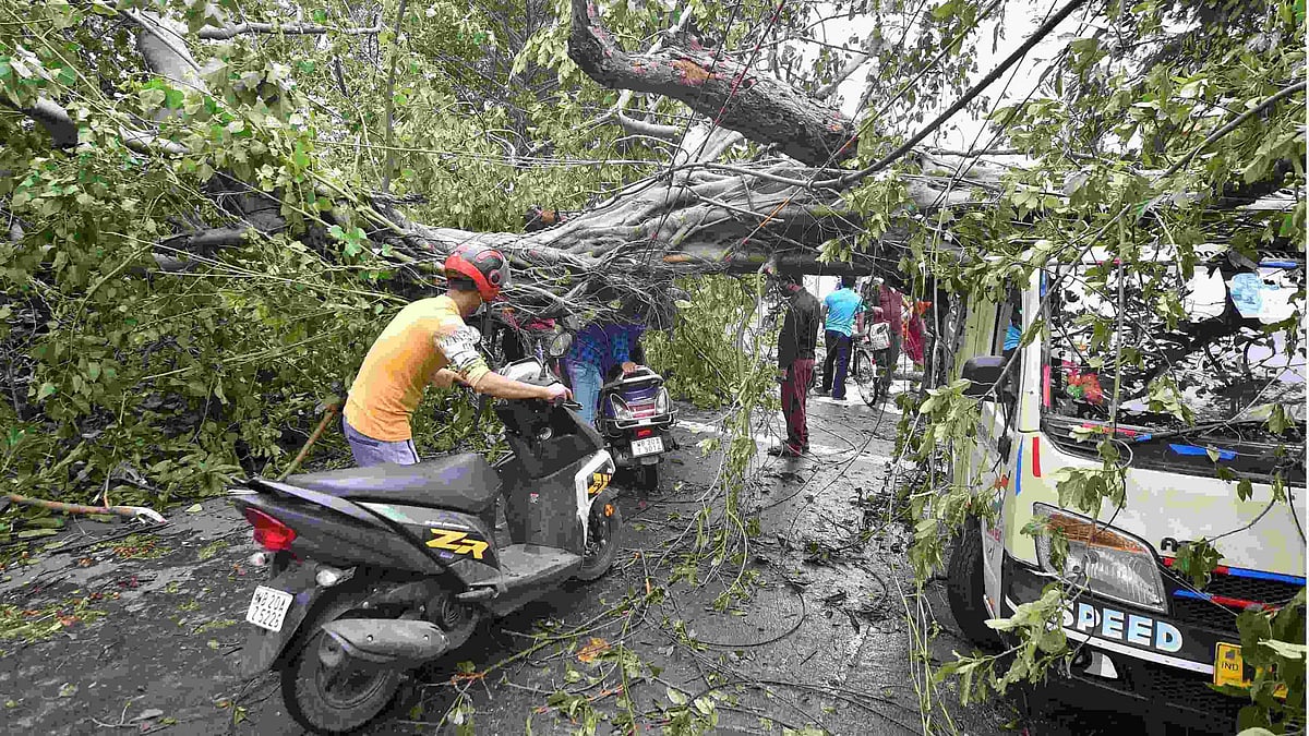 Cyclone Amphan LIVE Update, Tracker, Location: Cyclone Amphan: Rs 1,000 ...