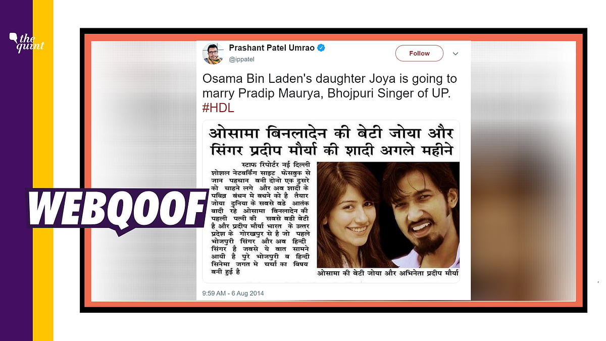 Osama Bin Laden Daughter Fatima Fact Check Of Osama Bin Laden Daughter