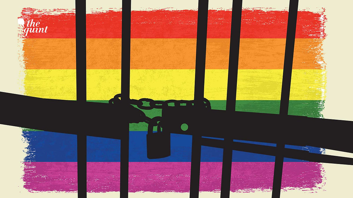 Life In A Delhi Jail As A Queer Man: Navigating Power, Masculinity ...