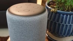 Apple Siri vs Amazon Alexa FAQs: Siri and Alexa Invading Your Privacy ...