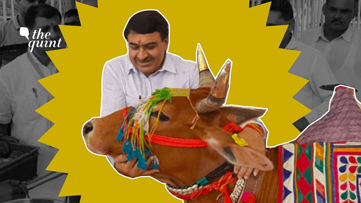 Bad Karma & Uses of Cow Urine: In Syllabus for Exam on Cow Science