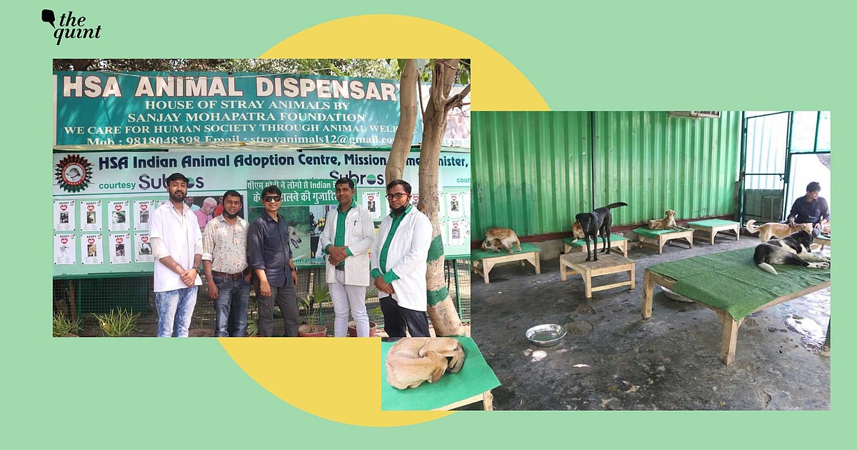VIDEO| House of Stray Animals - A 24/7 Free Dispensary in Noida is ...