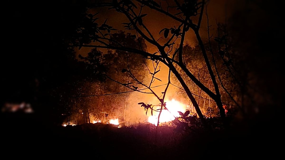 Indian Forests Are Burning: Several States Report Forest Fires As ...