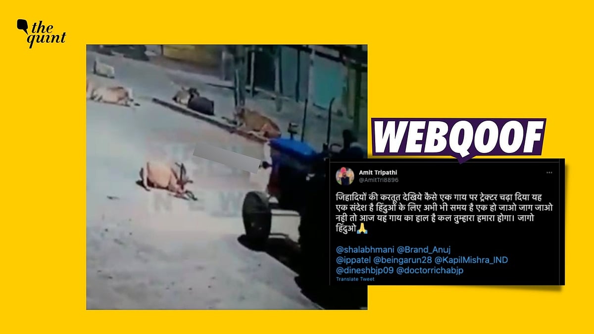 Fact-Check of False Communal Spin | Tractor Driver Runs Over Cow ...