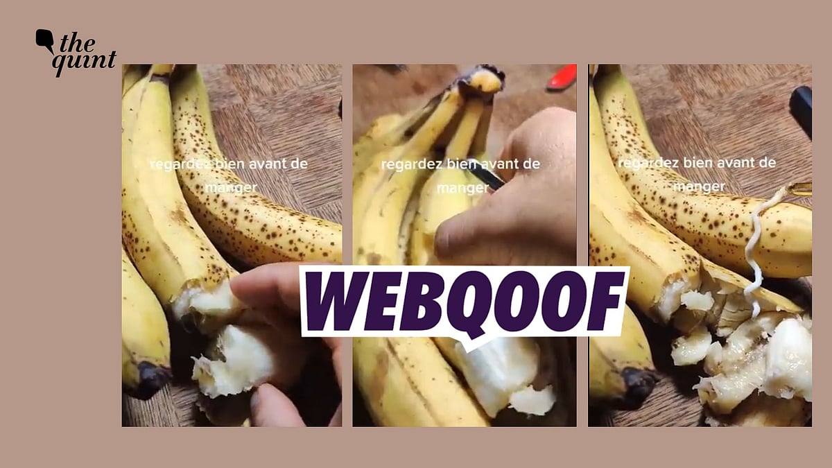 Fact-Check | Misleading Claim Goes Viral With Video of Worms Coming Out ...