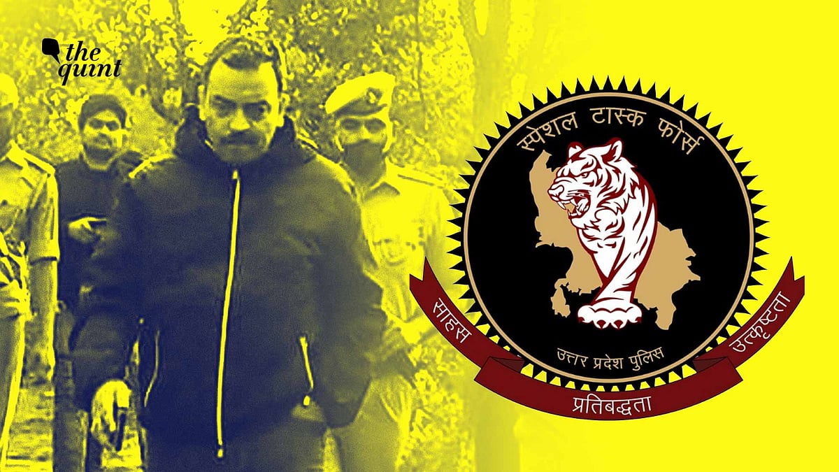 Stf Logo Stf Logo Design Hi Res Stock Photography And Images Alamy