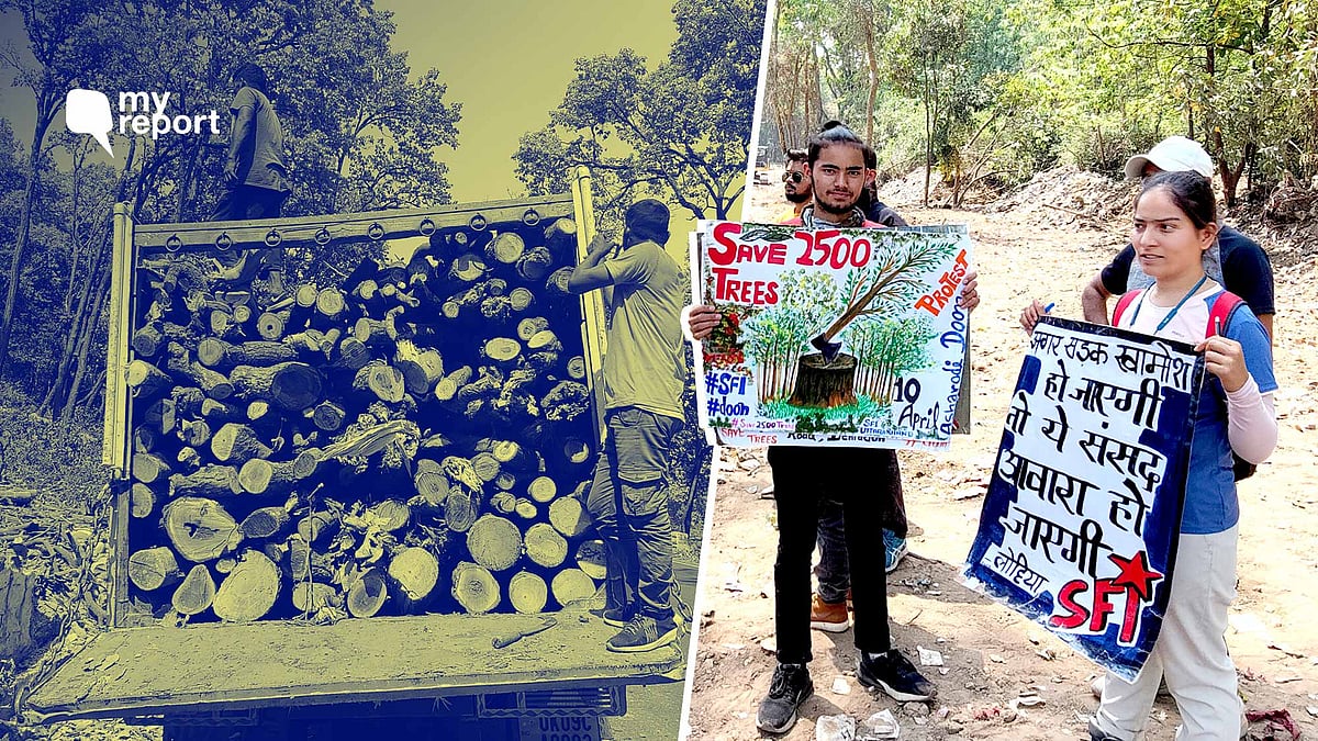 Protest Against Forest Cut in Dehradoon:'Can't Cut Down a Forest for ...