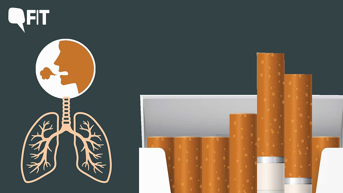 World No Tobacco Day 2022: A Timeline of What Happens TO Your Body As ...