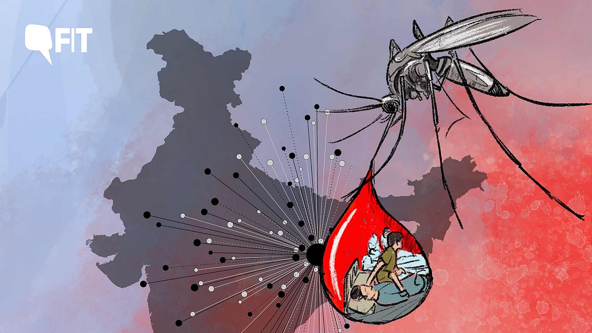 Dengue Symptoms: Dengue Cases on the Rise in India, How to Protect ...