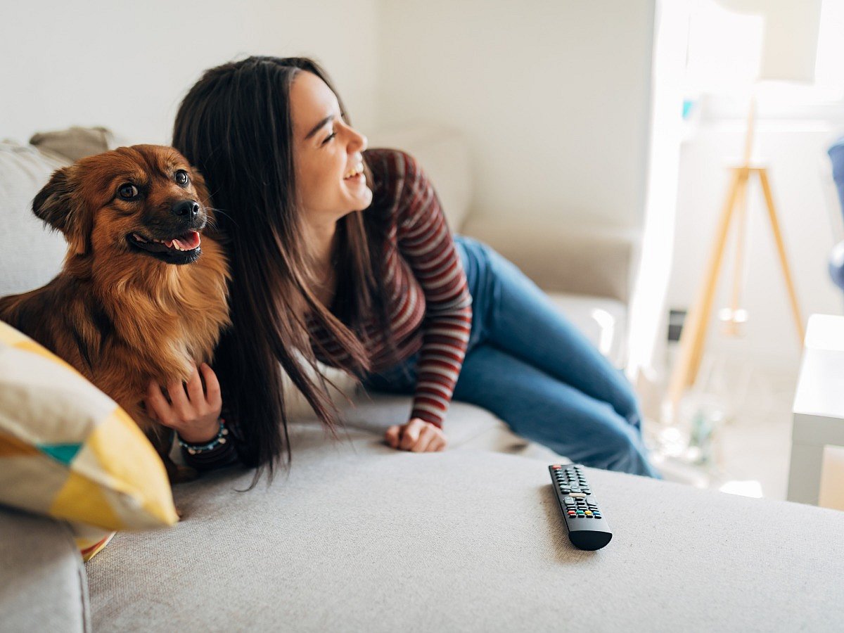 International Dogs Day 2022: History, Significance, Quotes, and Ways to ...