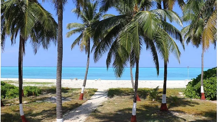 FAQ | 'Blue Flag' Certification for Two Beaches in India: What is this ...