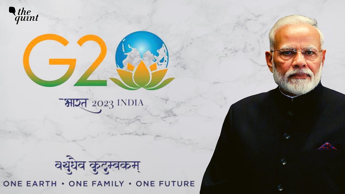 In Diversity Pitch, PM Modi Unveils Lotus As G20 India Logo: What Does ...