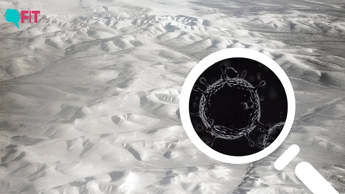 48,500-Year-Old 'Zombie Virus' Revived in Siberian Permafrost: Should ...
