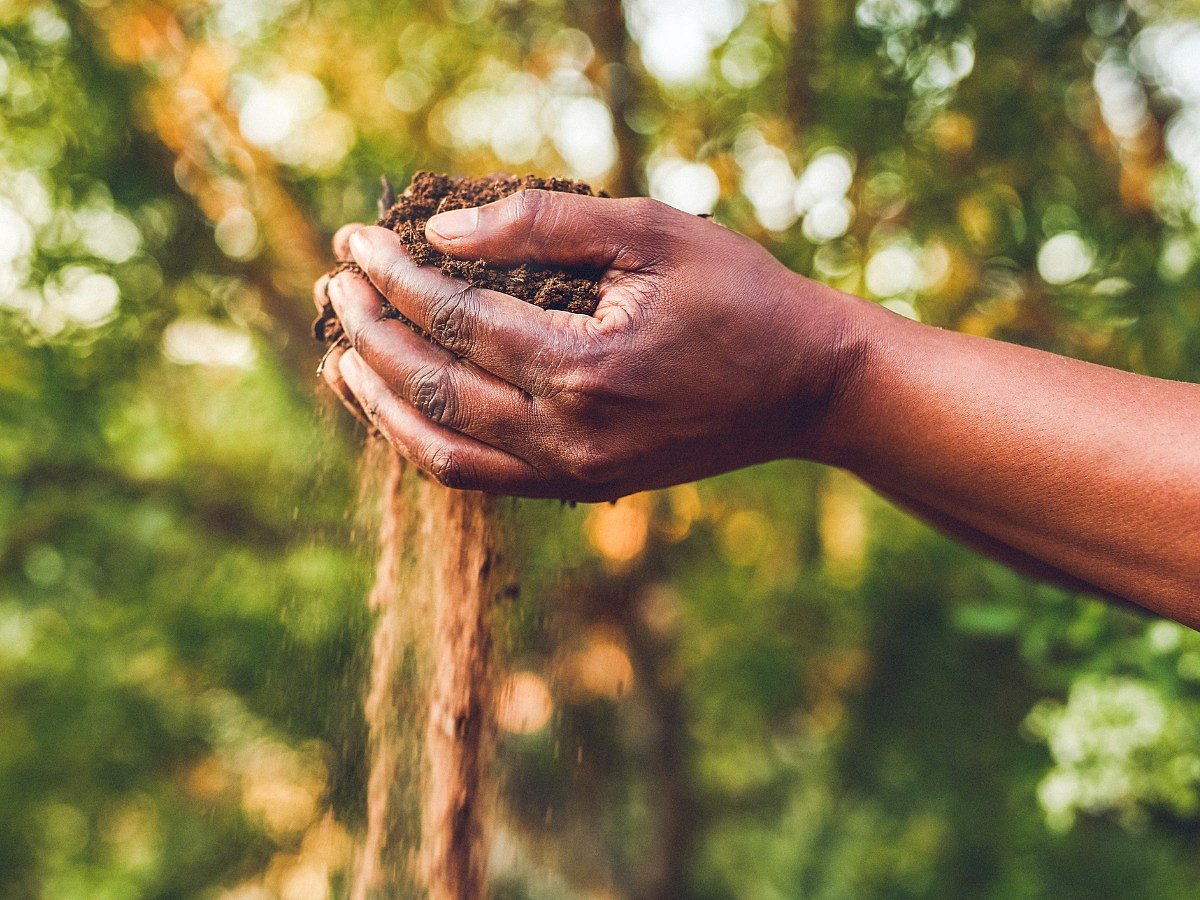 World Soil Day 2022: Theme, Quotes, and Posters