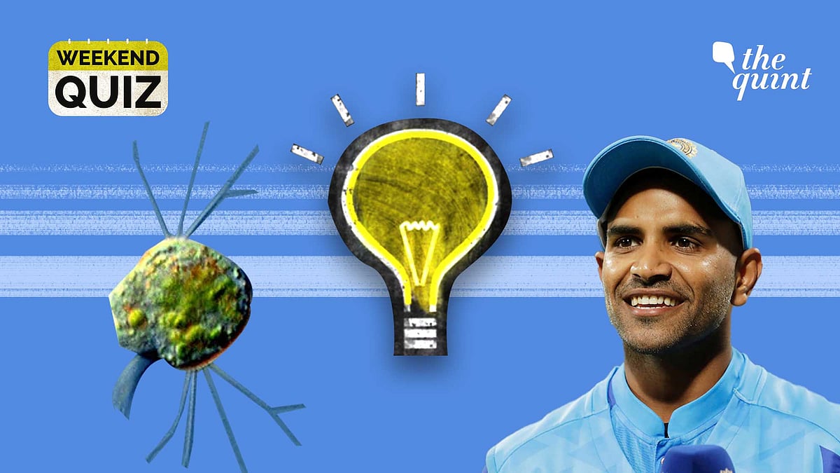 Take The Quint's Weekend Quiz To Find Out How Up-to-Date You Are!