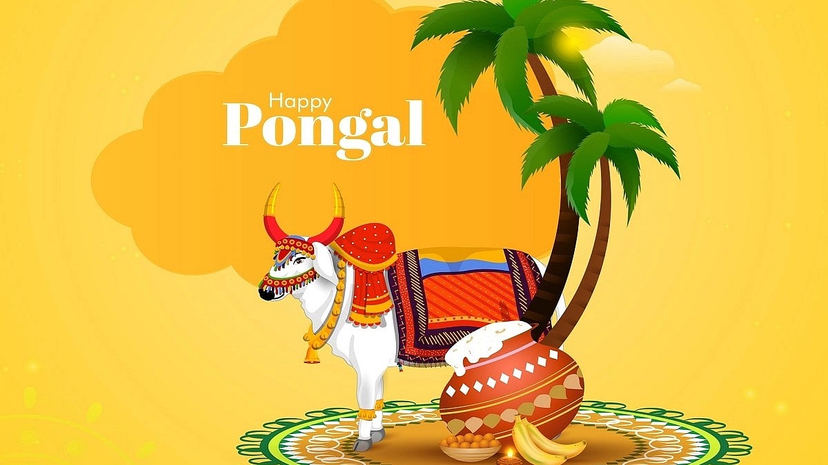 Pongal 2023: Date, Importance, History, Significance, How To Celebrate ...