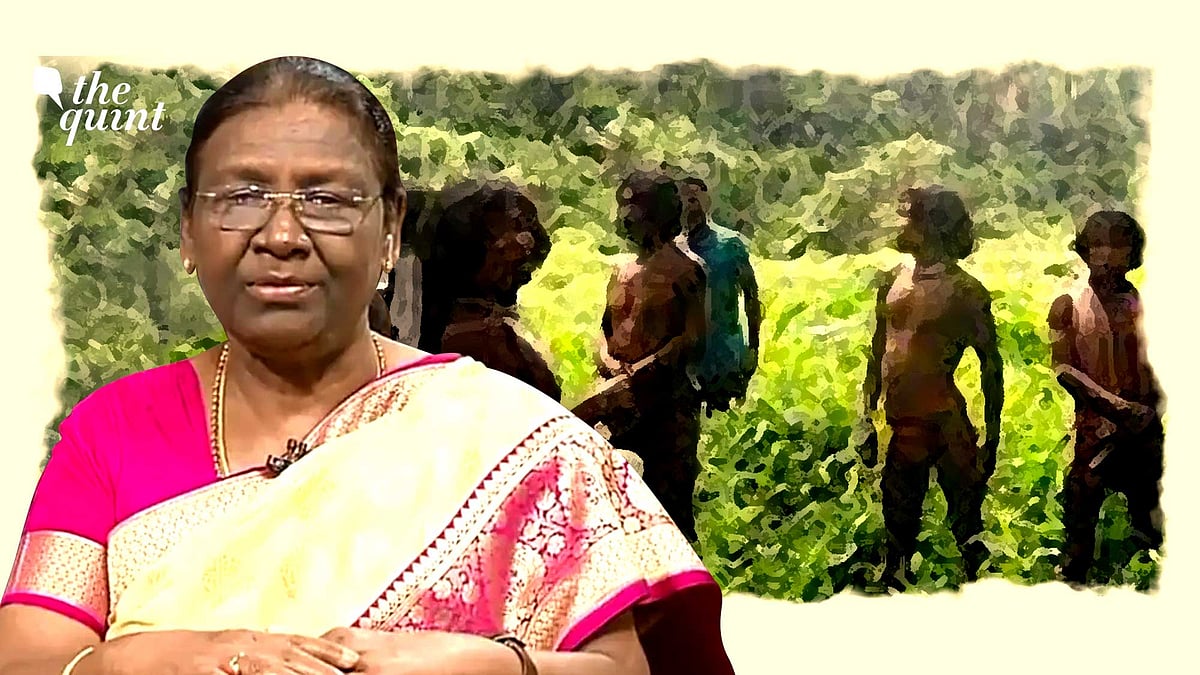 India's Tribal Land: Can Both Development & Conservation Be Andaman's ...