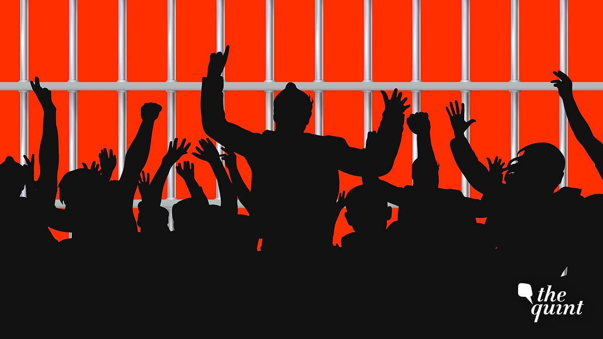 Overcrowded Jails, 1 Doctor Per 842 Inmates: What India Justice Report ...