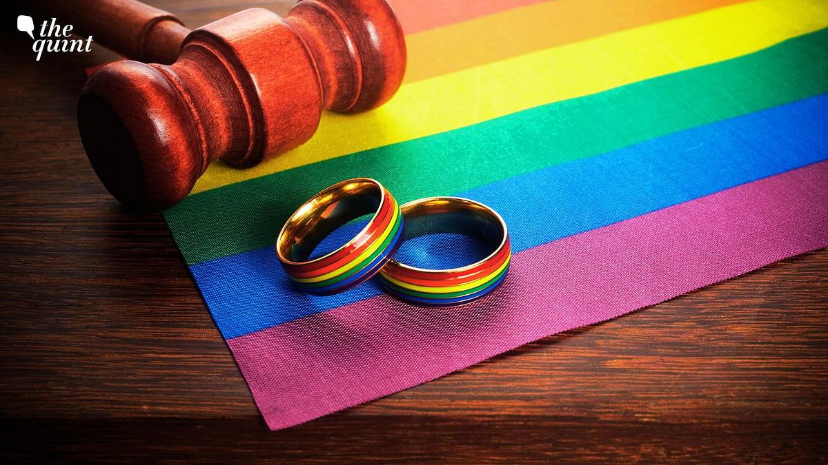 Marriage Equality: Centre's View of the Constitution Is Flawed