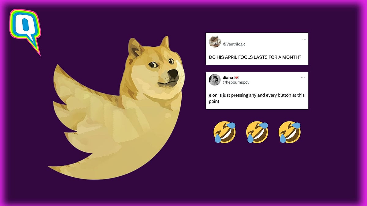 Doge Meme Leeg