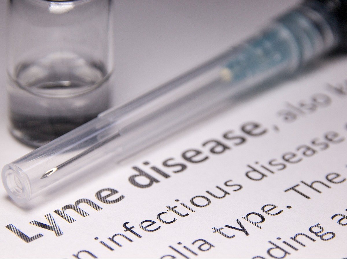 Lyme Disease: Causes, Symptoms, Diagnosis, and Treatment