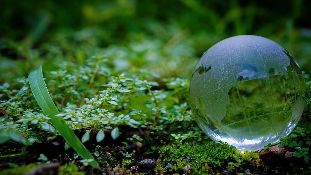 World Nature Conservation Day 2023 Date: Theme, History, Significance ...