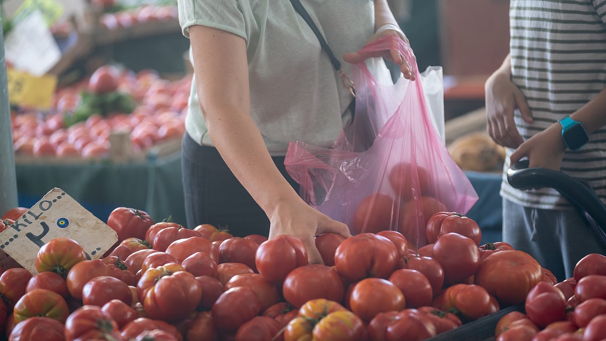 Tomato Prices in India: What led to soaring tomato prices and how is it ...