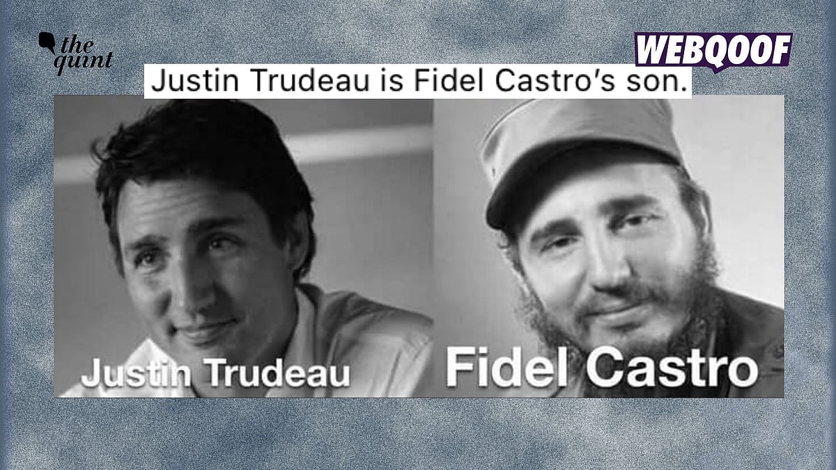 Viral Posts Calling Canadian PM Justin Trudeau the Son Late Cuban ...