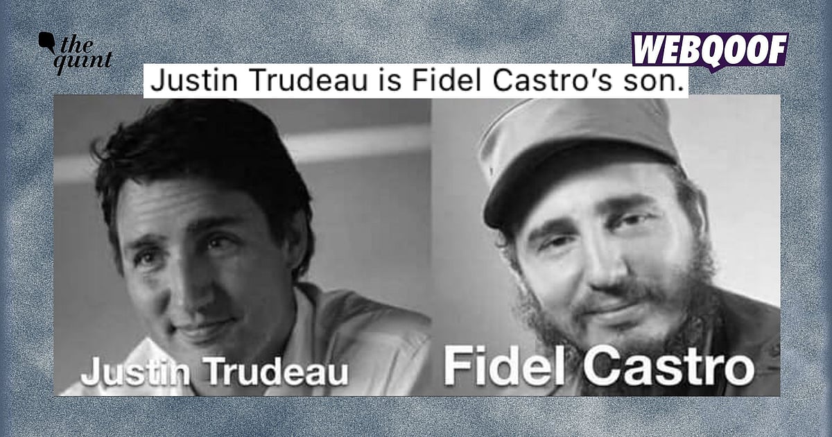 Viral Posts Calling Canadian PM Justin Trudeau the Son Late Cuban ...