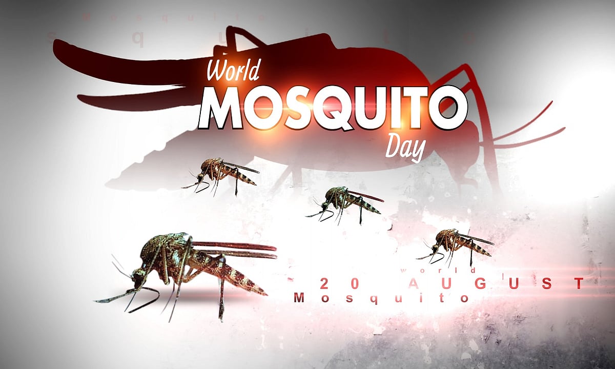 World Mosquito Day 2023 Date, Theme, History, Significance, Activities ...