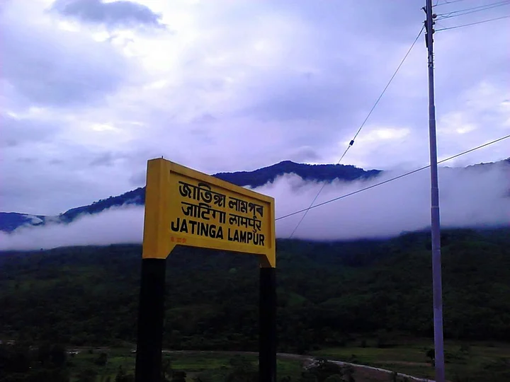 Video | India Unsolved Ep 1: Decoding Mass Bird Suicides in Assam's Jatinga