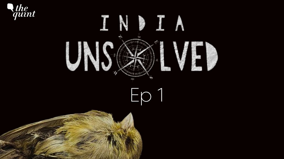 Video | India Unsolved Ep 1: Decoding Mass Bird Suicides in Assam's Jatinga