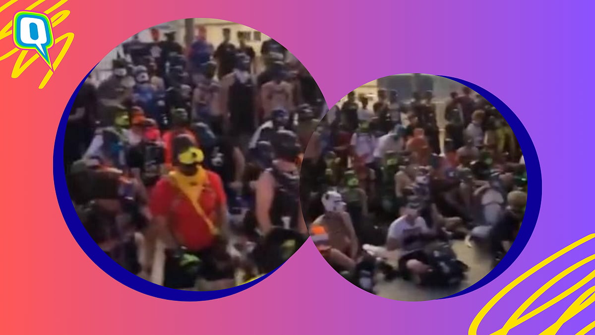 Viral Video Shows Nearly 1000 'Humans Who Identify As Dogs' Gathering ...