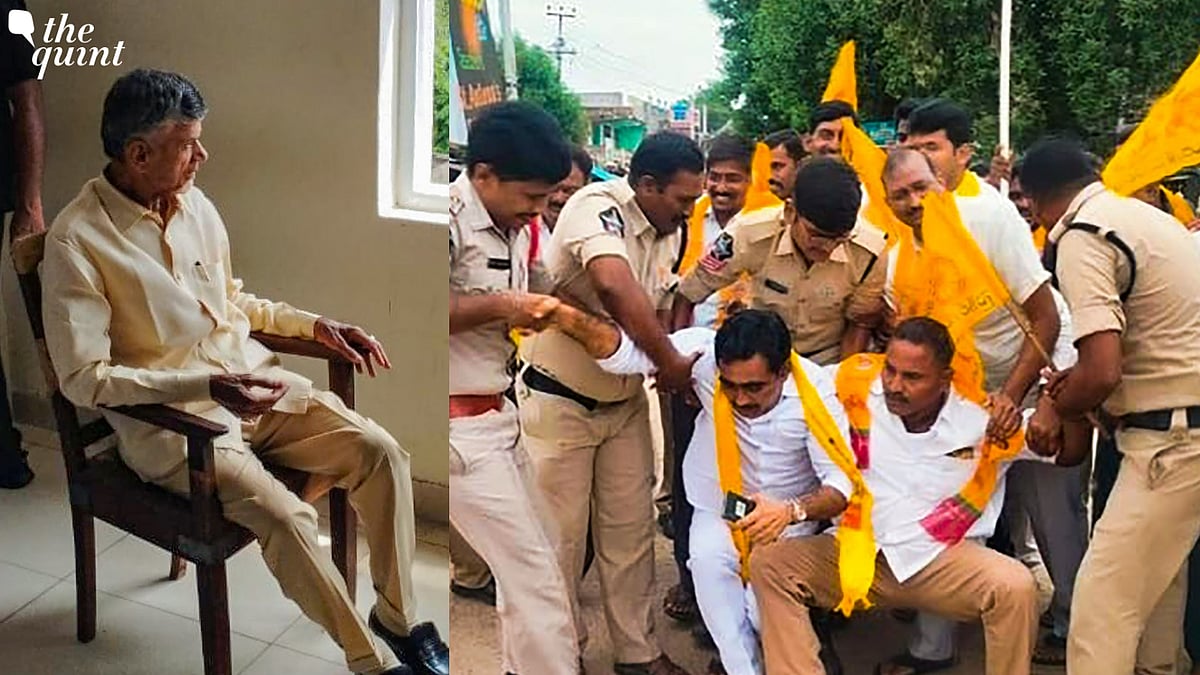 Chandrababu Naidu Arrest: Andhra Pradesh CID Likely To Probe TDP ...