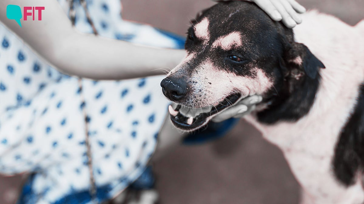 Rabies FAQ | How Can You Protect Children From Rabies? How Is It Treated?