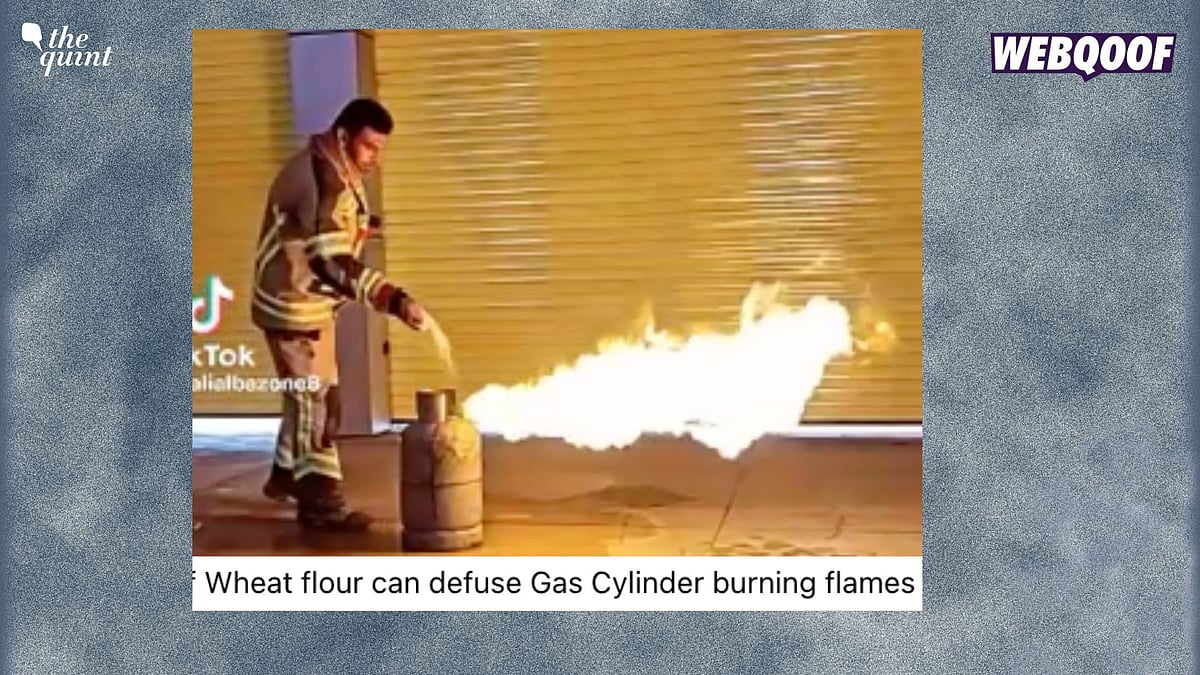 Fact-Check: Can Wheat Flour Help In Putting Out Fire? No, It Could Lead ...